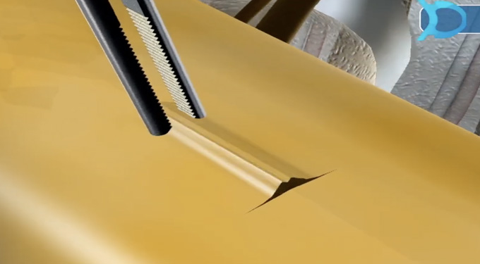 DuraFuse - Liberal Palette Designs